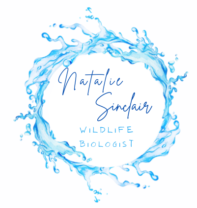 Contact – Natalie Sinclair